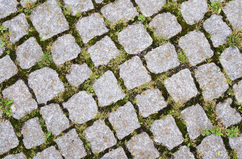 Golden lattice stock photo. Image of ornament, background - 8006462