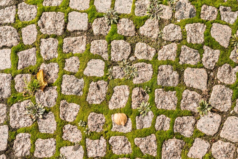 Old Cobblestone Road with Grass between Stones. Texture and Background ...