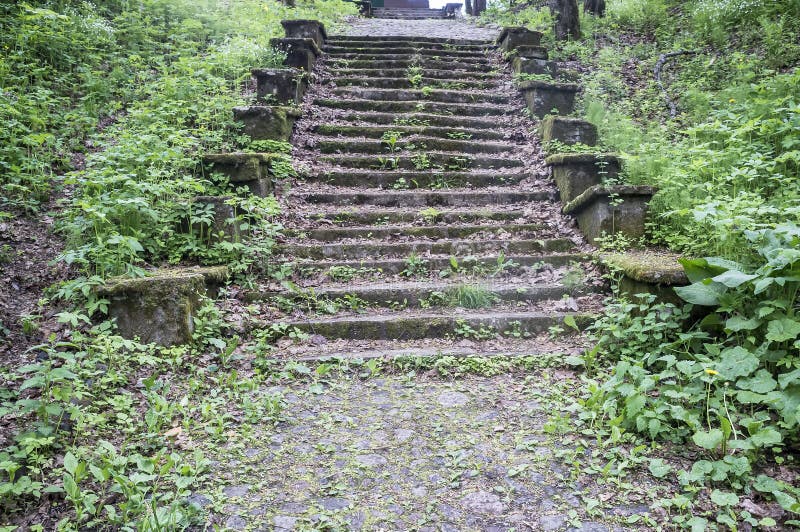 Cobblestone Pavement Overgrown With Moss And Grass Stock Image - Image ...