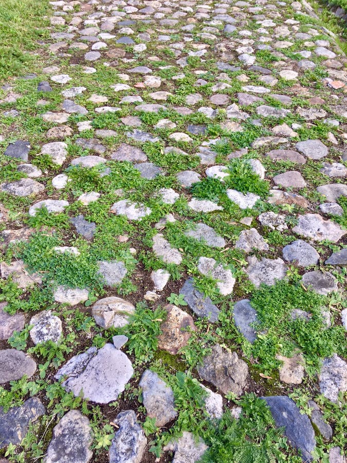 Old Cobblestones Overgrown with Grass. a Path Made of Stones. a Path in ...