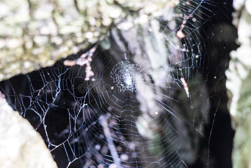 Old cobweb stock image. Image of cobwebs, background - 96407271