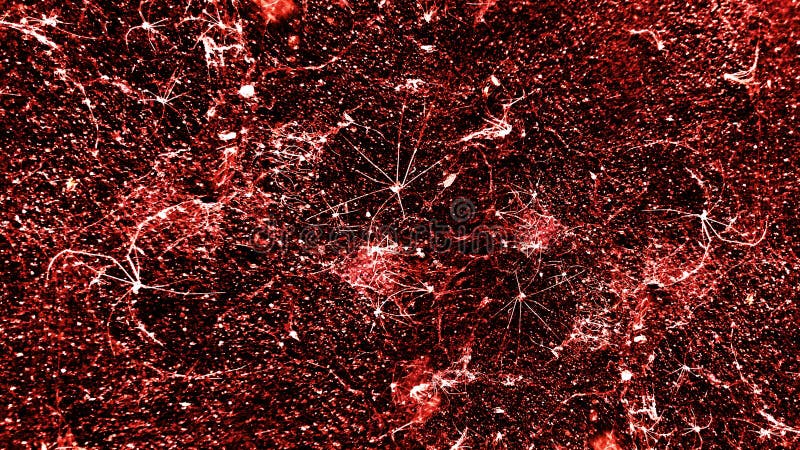 Old cobwebs texture stock photo. Image of blood, danger - 93329496