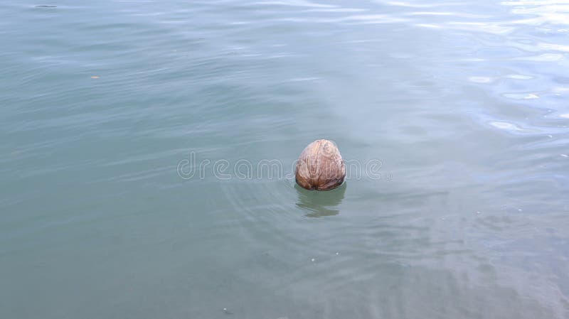 Recycling Coconut Water Carton Stock Photos - Free & Royalty-Free Stock ...