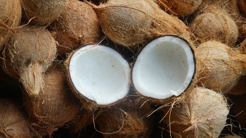 Old Coconuts that Have Been Cut and Coconuts that are Still Uncut Stock ...