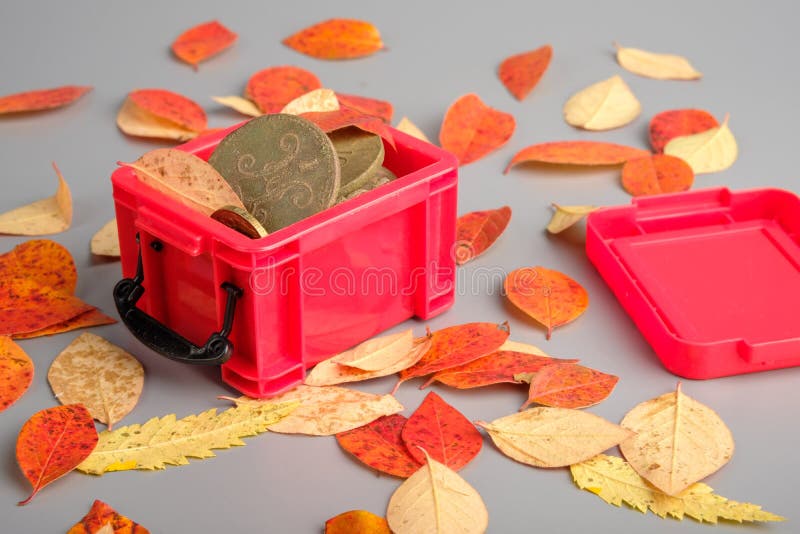 An Old Coin and Autumn Leaves in a Red Plastic Container Stock Photo ...