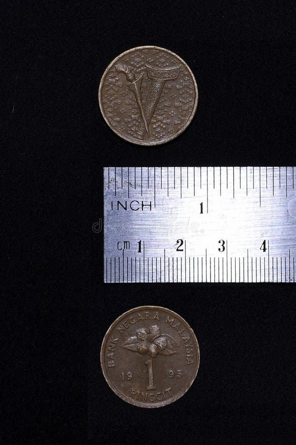 306 Actual Size Stock Photos - Free & Royalty-Free Stock Photos from ...