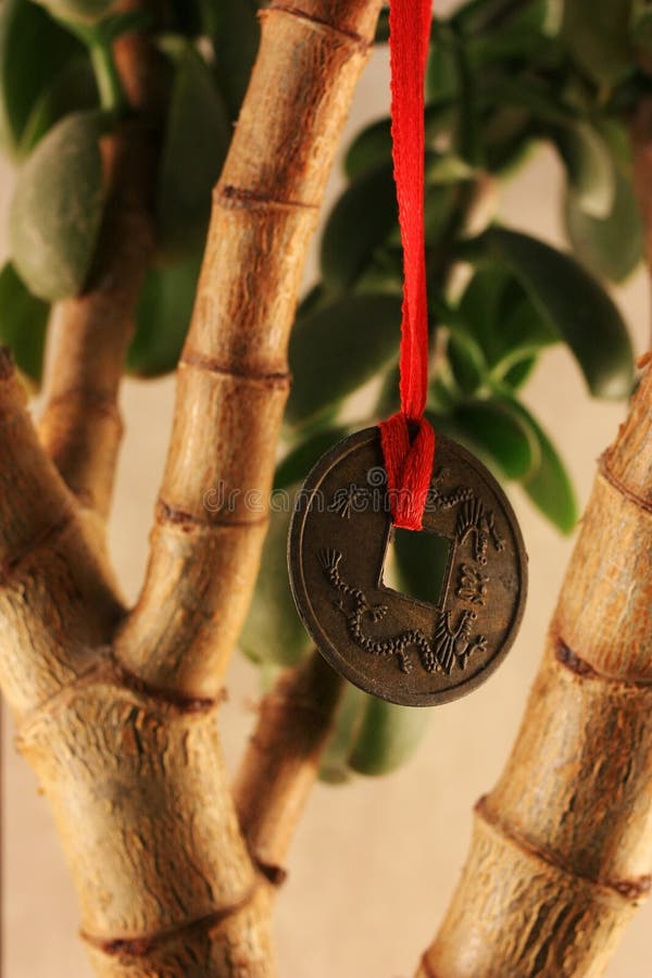 Ancient Coin Hanging on a Money Tree Stock Photo - Image of cash ...