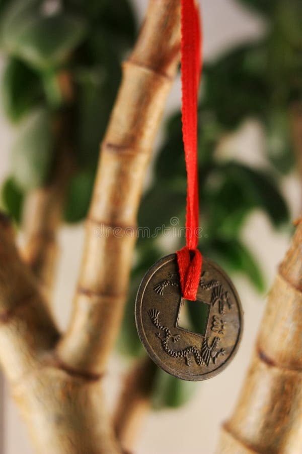Coin Hanging on a Money Tree Stock Photo - Image of countries, brown ...