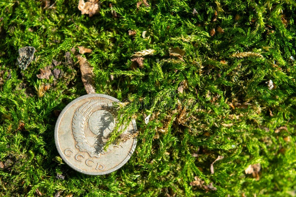 Old Coins in the Forest on Green Moss Stock Photo - Image of backdrop ...