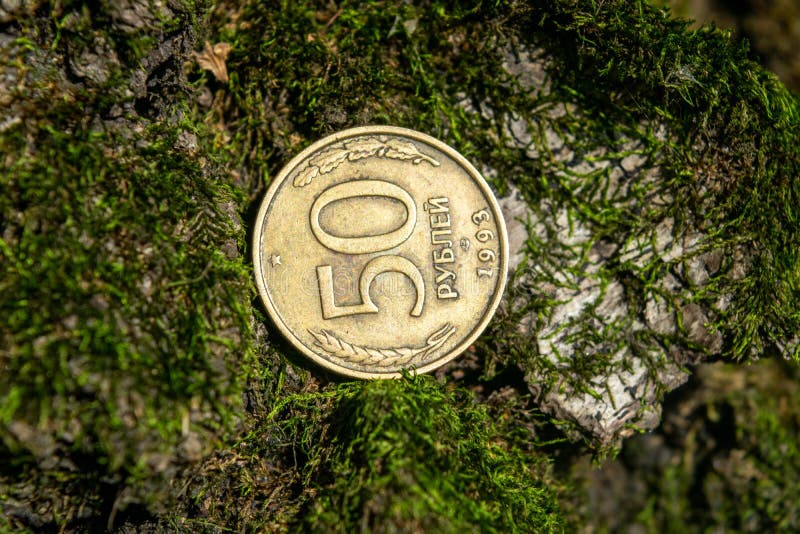 Old Coins in the Forest on Green Moss Stock Photo - Image of ...