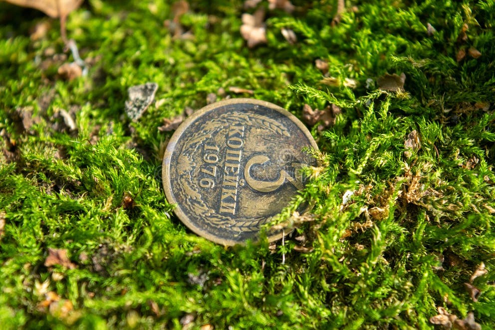 Old Coins in the Forest on Green Moss Stock Image - Image of location ...