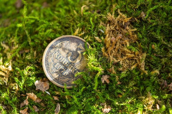 Old Coins in the Forest on Green Moss Stock Image - Image of moss, coin ...