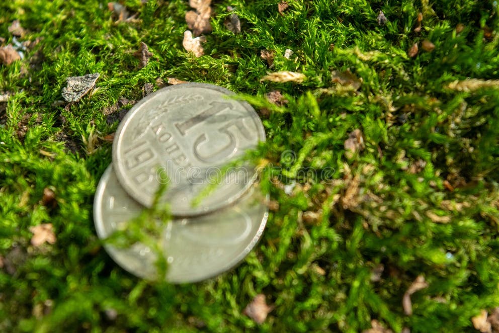 Old Coins in the Forest on Green Moss Stock Photo - Image of arcade ...