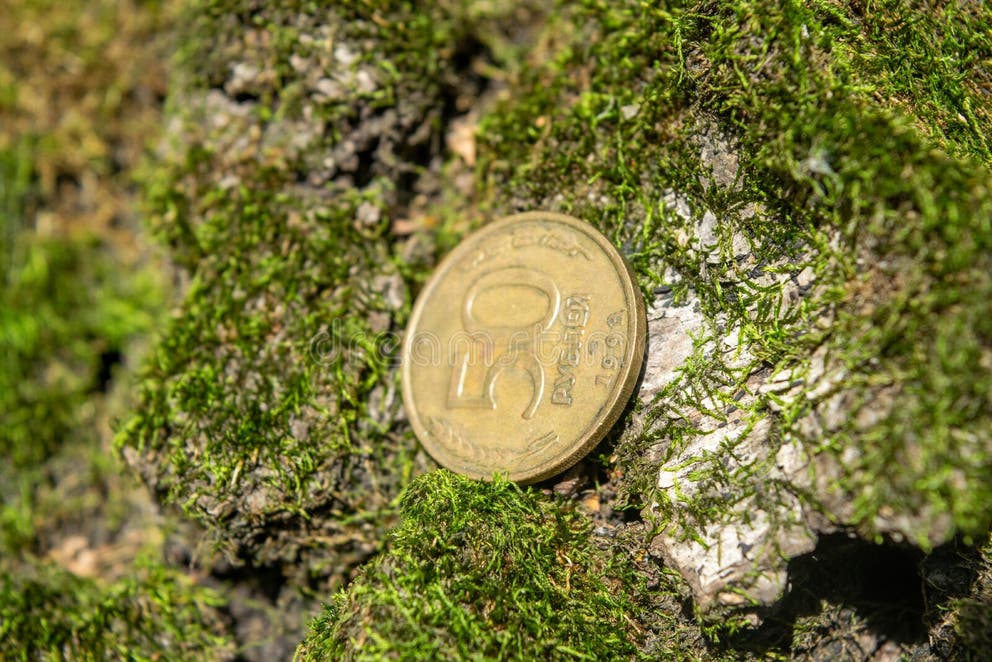 Old Coins in the Forest on Green Moss Stock Image - Image of interface ...