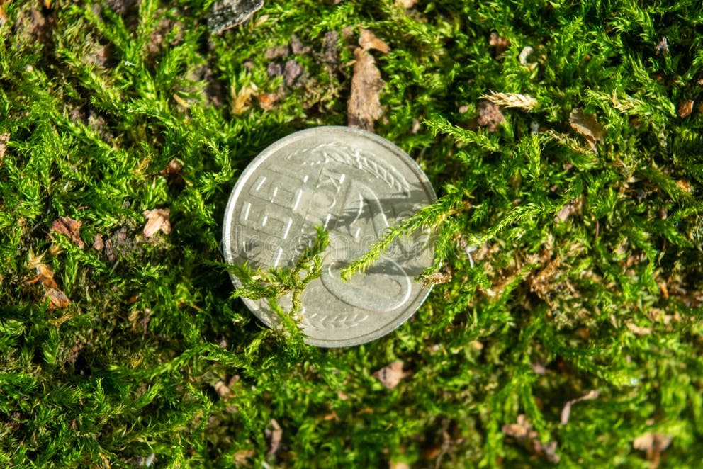 Old Coins in the Forest on Green Moss Stock Image - Image of ...