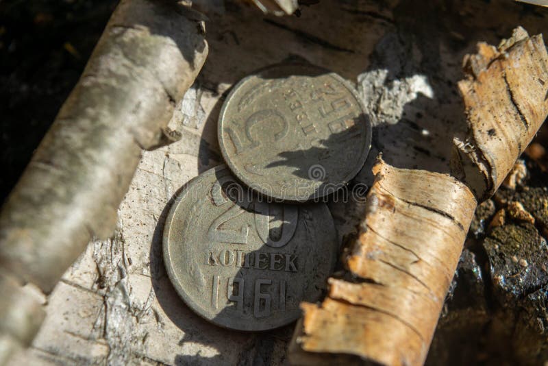 Coins in the bark stock image. Image of lots, texture - 47876583