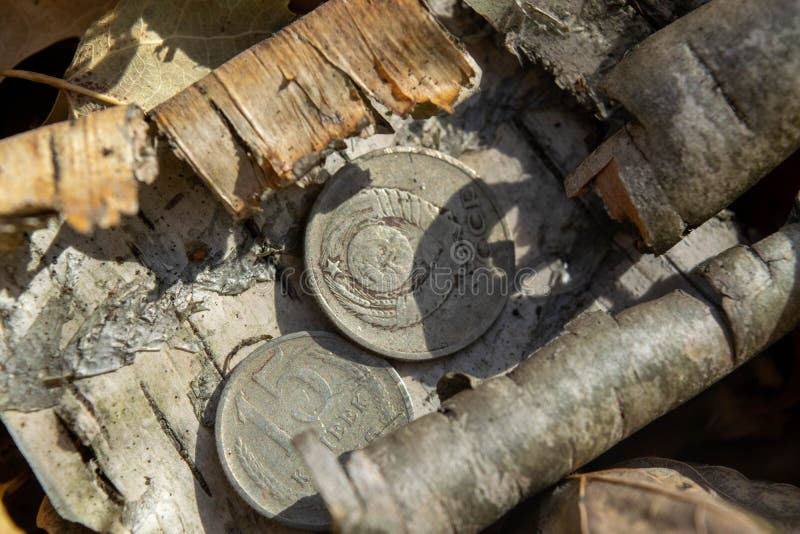Coins in the bark stock image. Image of lots, texture - 47876583