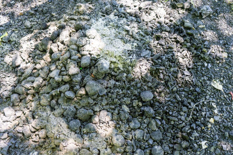 Old Cold Coal from a Grill with Ash Stock Image - Image of black ...
