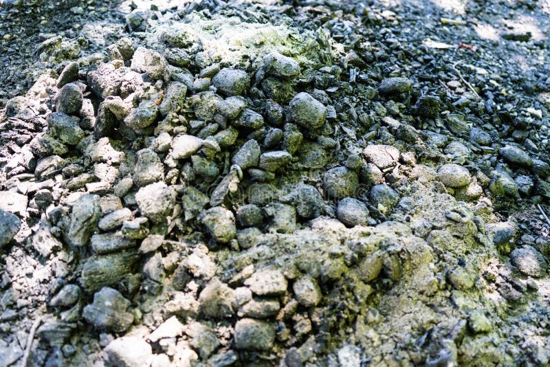 Old Cold Coal from a Grill with Ash Stock Image - Image of danger ...