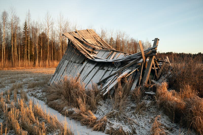 Old Collapsed Barn in December Winter Sunlight Stock Image - Image of ...