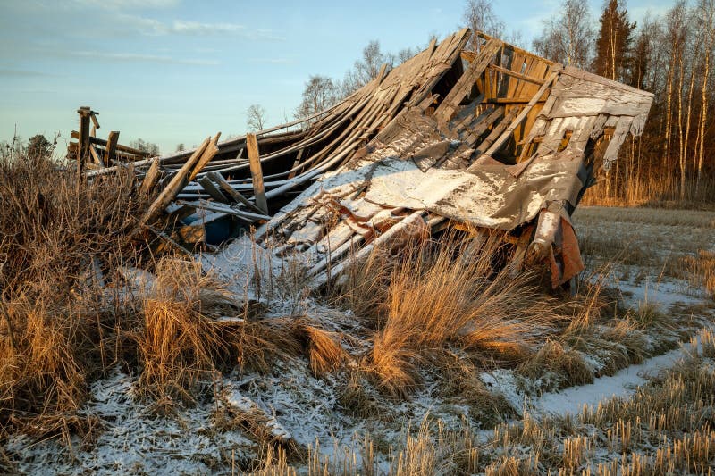 Old Collapsed Barn in December Winter Sunlight Stock Image - Image of ...