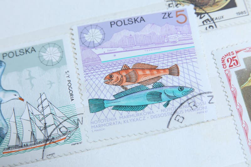 Postage stamps, Fish editorial photo. Image of explore - 123377781