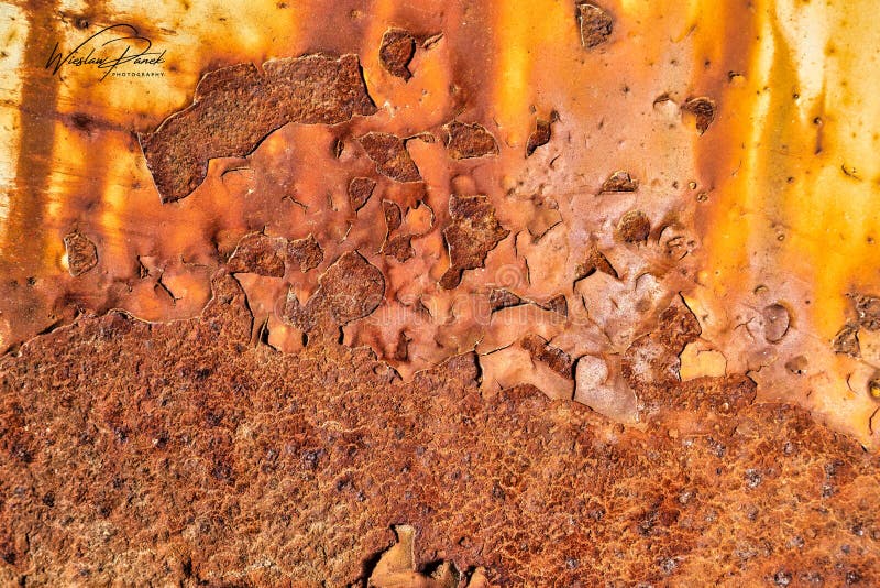 Close Up, Rust, Macro Photography, Organism Picture. Image: 97610834