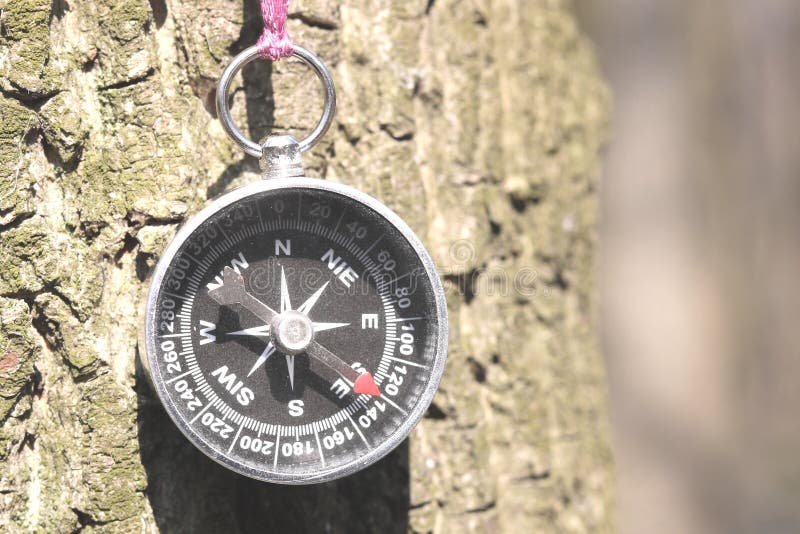 Old compass on tree stock photo. Image of guidance, distance - 178688836