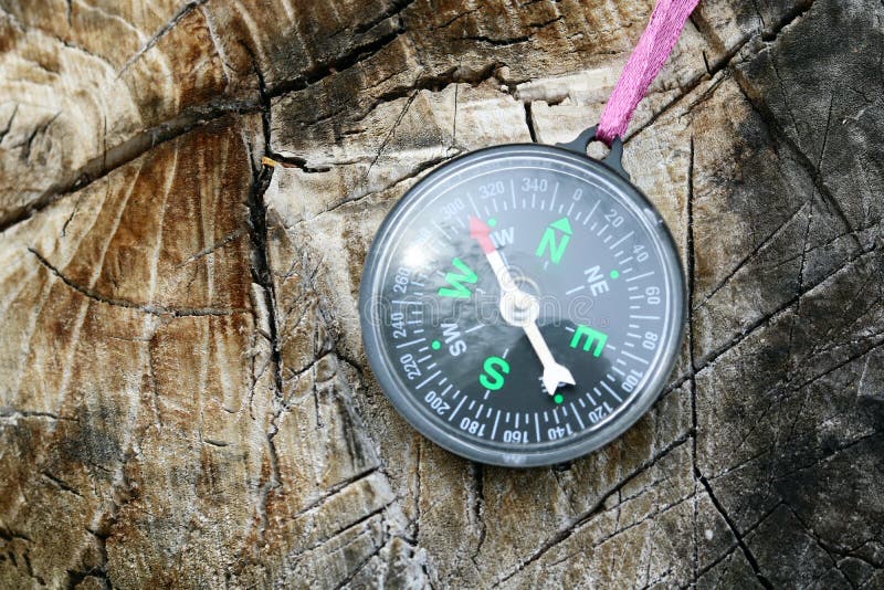 Old Compass on Tree in Forest Stock Photo - Image of exploration ...