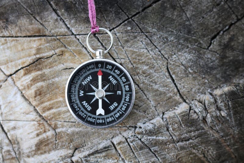 Old Compass on Tree in Forest Stock Image - Image of hiking, conceptual ...