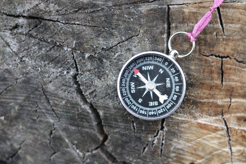 Old Compass on Tree in Forest Stock Image - Image of macro, guidance ...