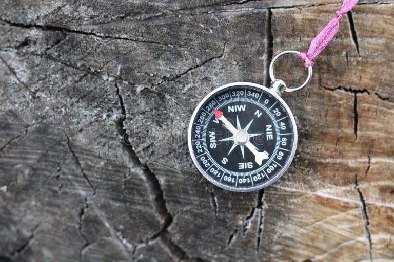 Old Compass on Tree in Forest Stock Image - Image of macro, guidance ...