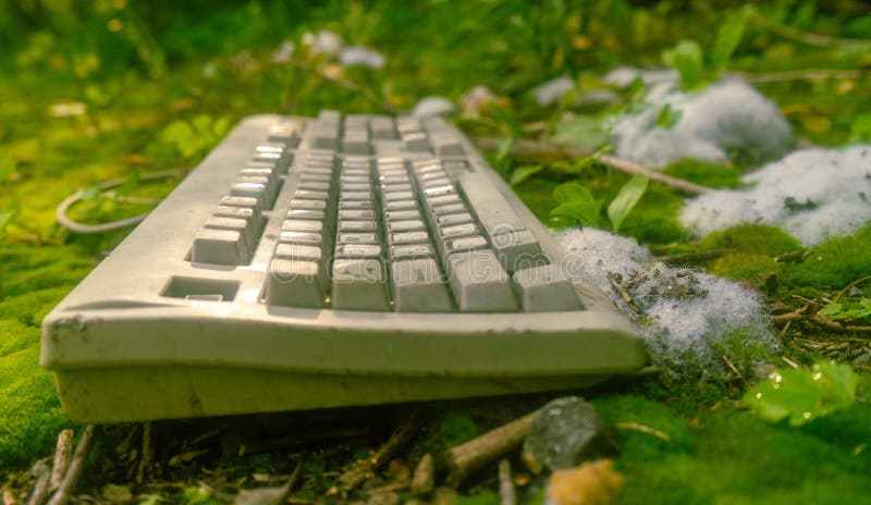 Old Computer Keyboard Lying on the Green Moss in the Summer Forest ...
