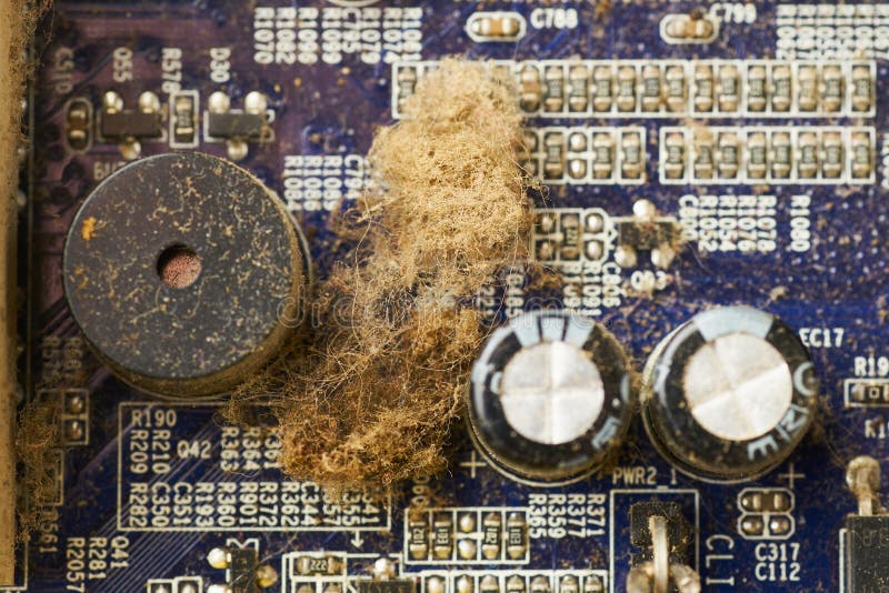 Old Computer System Unit with Spiderweb and Dust Inside Stock Photo ...