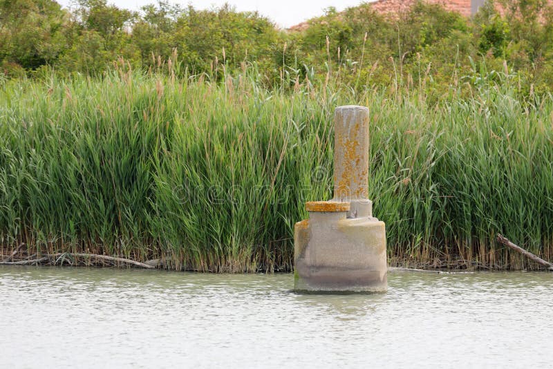 Methane Swamp Gas Stock Photos - Free & Royalty-Free Stock Photos from ...