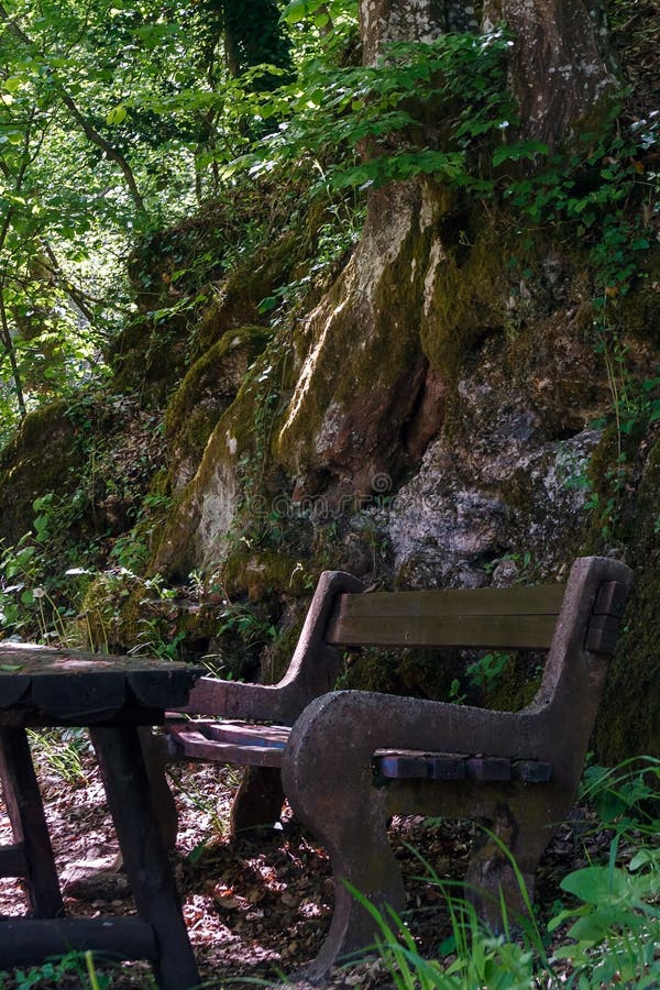 Old concrete bench stock image. Image of forest, environment - 183673263