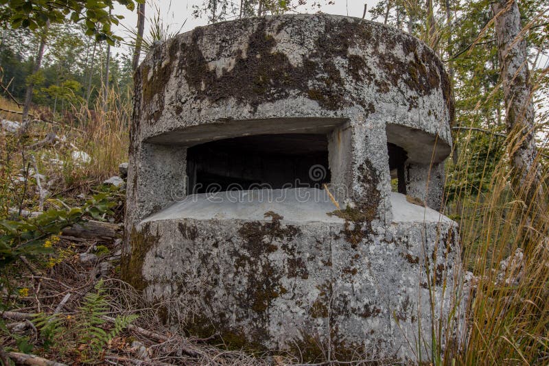 Old Concrete Bunker Front Side Stock Photo - Image of army, object ...