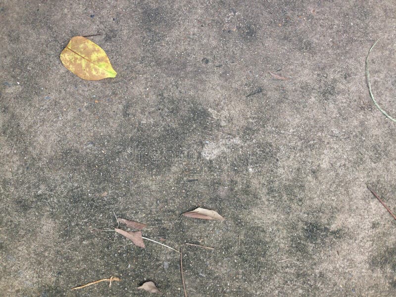 Old Concrete Floor Texture For Background Stock Image - Image of cement ...