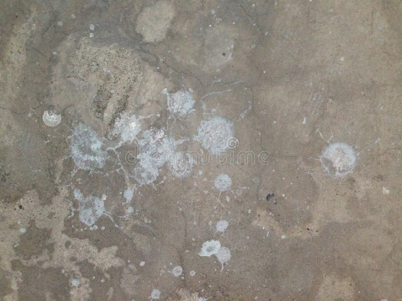 Old Concrete Floor Texture for Background Stock Image - Image of cement ...