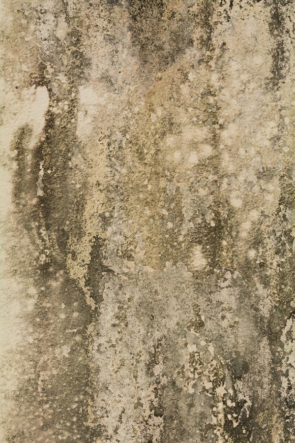 Old concrete stock image. Image of gray, retro, design - 251205353