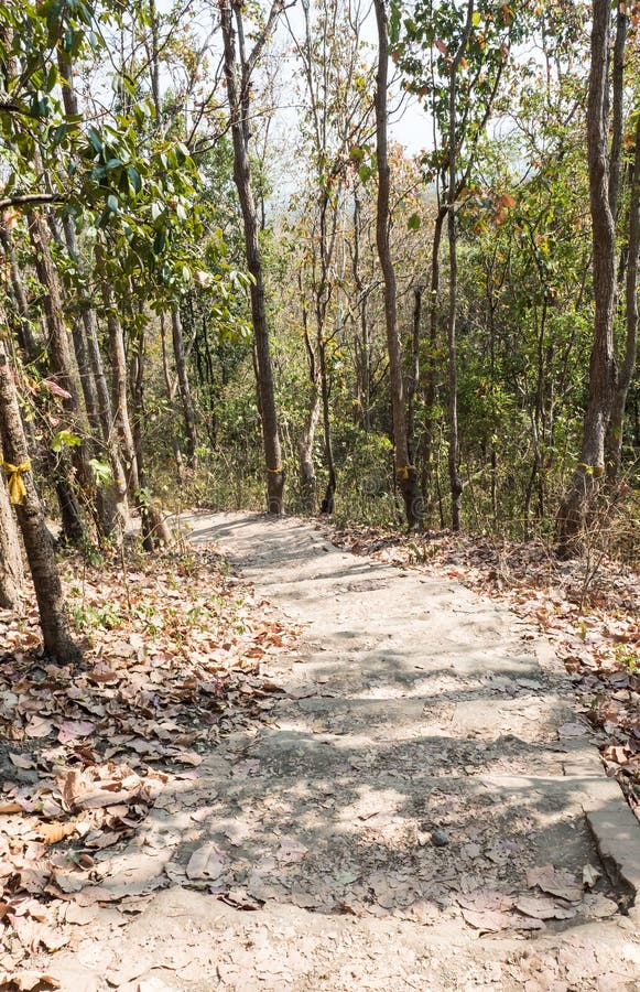 Old Concrete Staircase in the Natural Trail. Stock Image - Image of ...