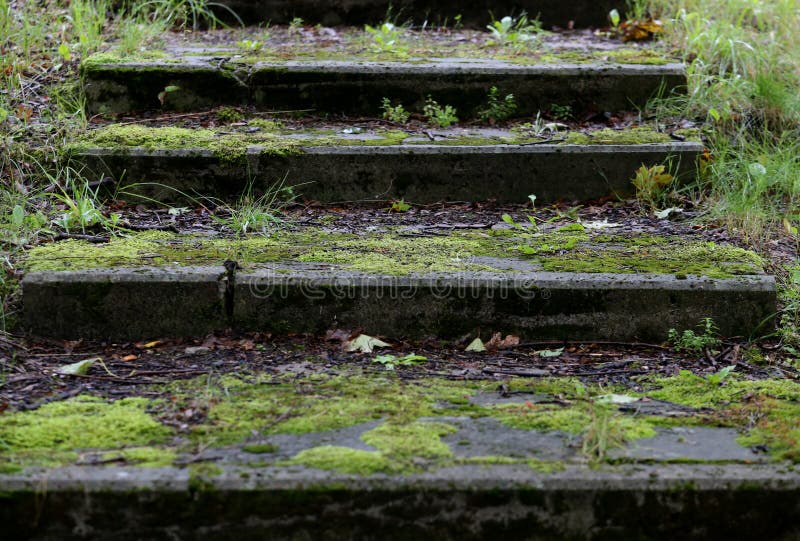 Old Concrete Stairs Overgrown with Grass in Nida Lithuania Stock Image ...