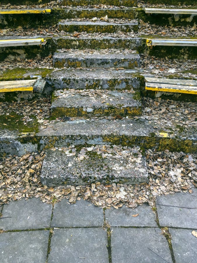 Old Concrete Steps with Fall Dry Leaves Stock Photo - Image of natural ...