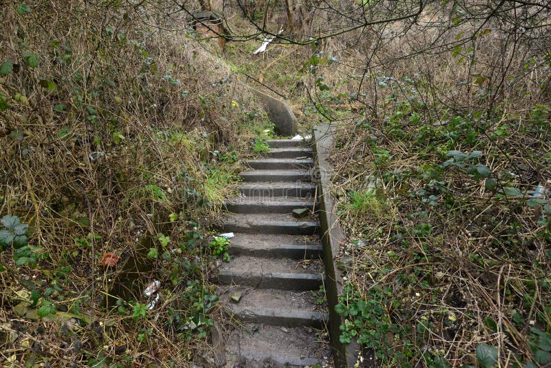 Old steps stock photo. Image of overgrown, unused, steps - 110413736