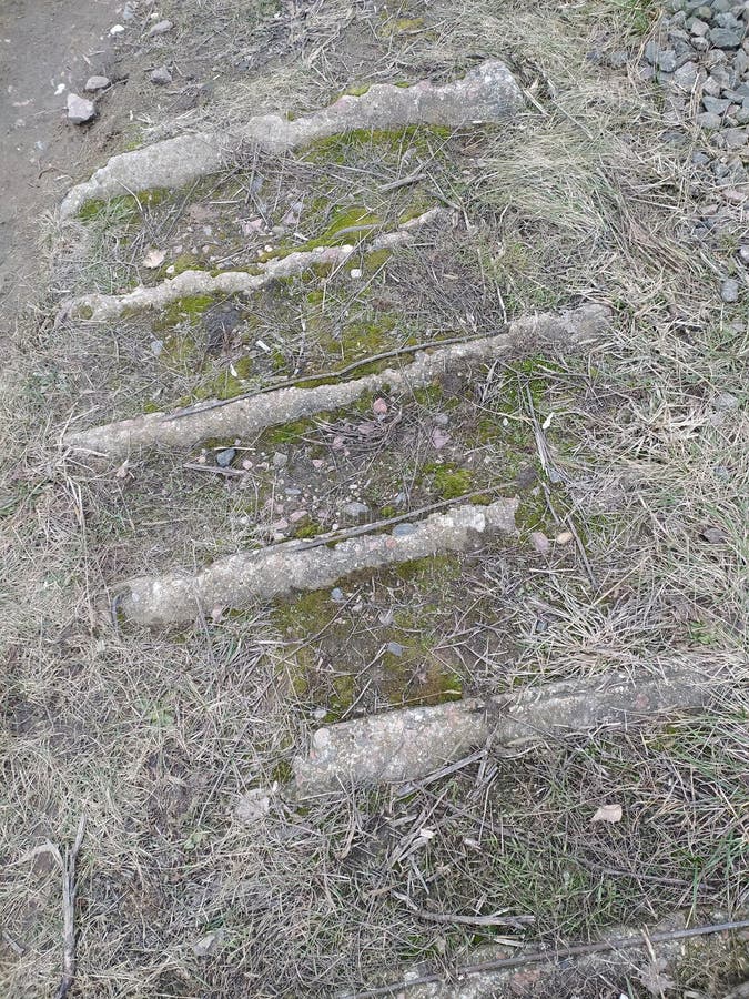 Old Concrete Steps Sunken into Ground Stock Image - Image of grunge ...