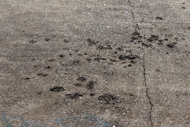 Chip Chap Stock Photos - Free & Royalty-Free Stock Photos from Dreamstime