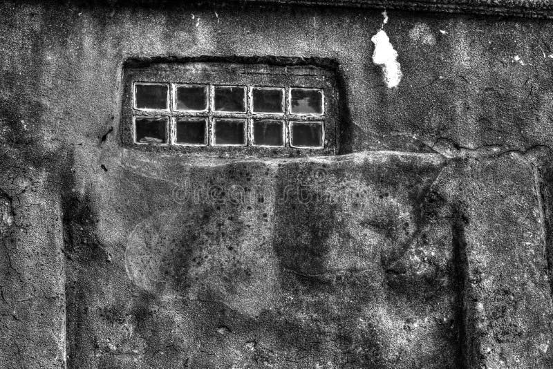 Small Windows with Broken Glass and Pine Trees in Background Stock ...