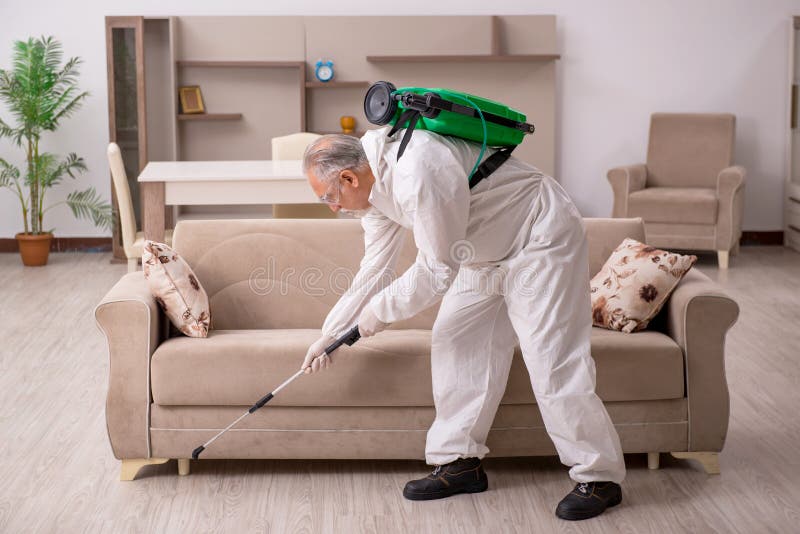Old Male Contractor Doing Pest Control at Home Stock Photo - Image of ...