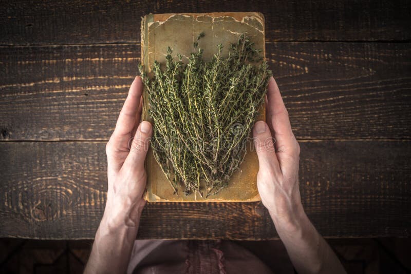 Old Cook Book with Herbs in the Hands Top View Stock Image - Image of ...