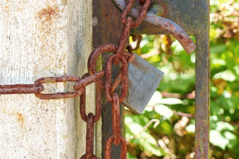 Old Corroded Padlock on a Rusty Chain Hanging on a Closed Garden Gate ...